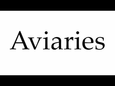 How to Pronounce Aviaries