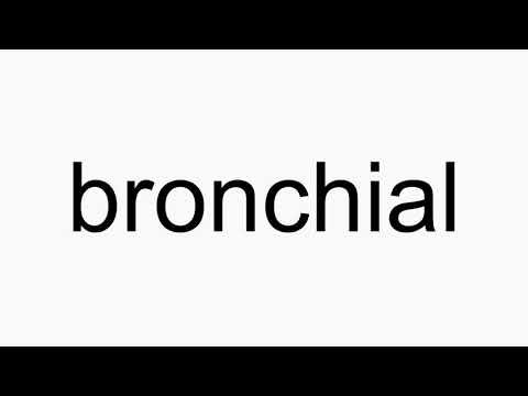 How to pronounce bronchial