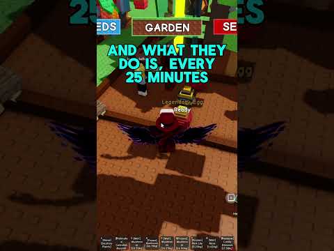 how to get bear bee pet in grow a garden roblox