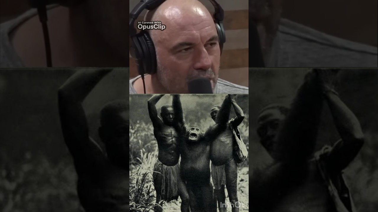 Huge Congo ape! #joeroganexperience #storytime #bondoape #congo #shorts
