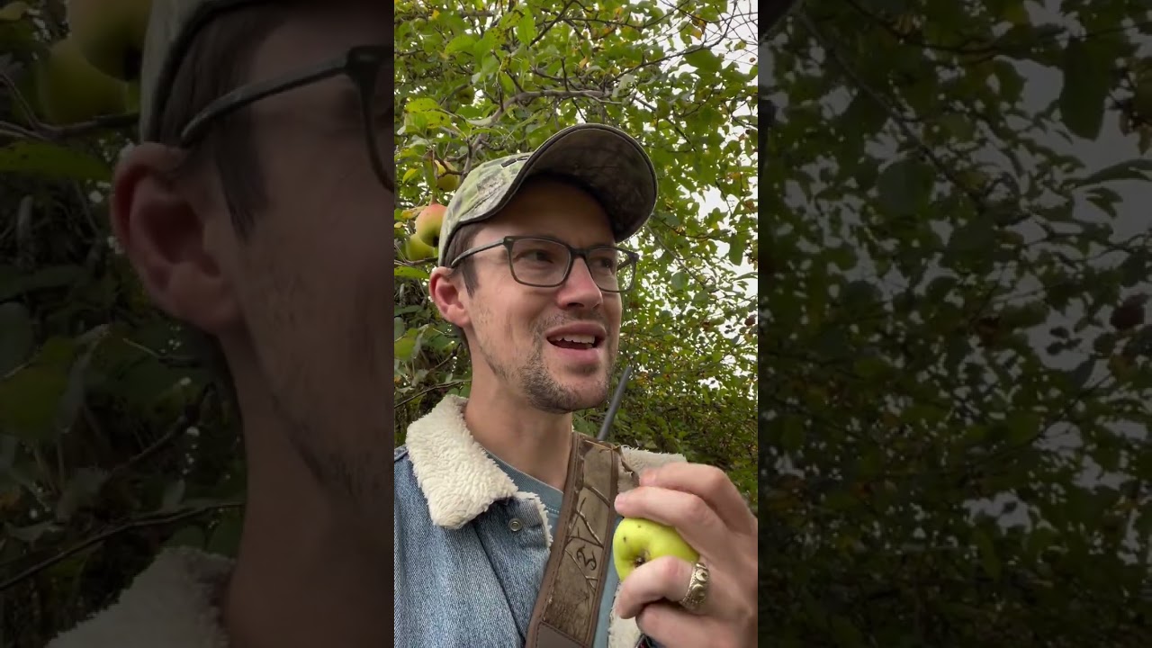 Taste testing more wild apples