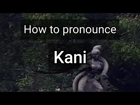 How to Pronounce Kani
