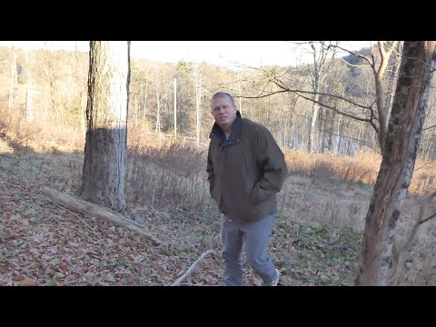 A shoot from the stump of Jesse