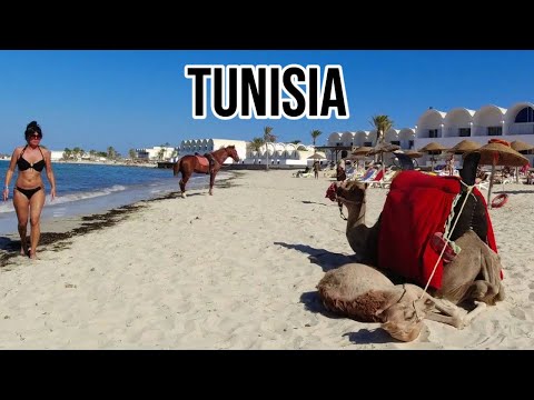 The Beach Scene in TUNISIA | Is This an African Paradise?