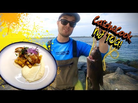I Caught My First TAUTOG! Don’t Pay For A Fancy Dinner, Catch One!!! Catch&Cook Blackfish