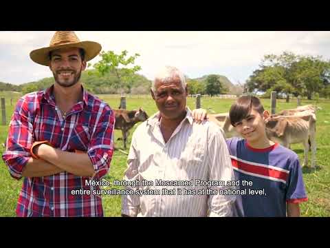 PLANTA MOSCAMED - BID | Servicio Nacional de Sanidad, Inocuidad y Calidad Agroalimentaria ...