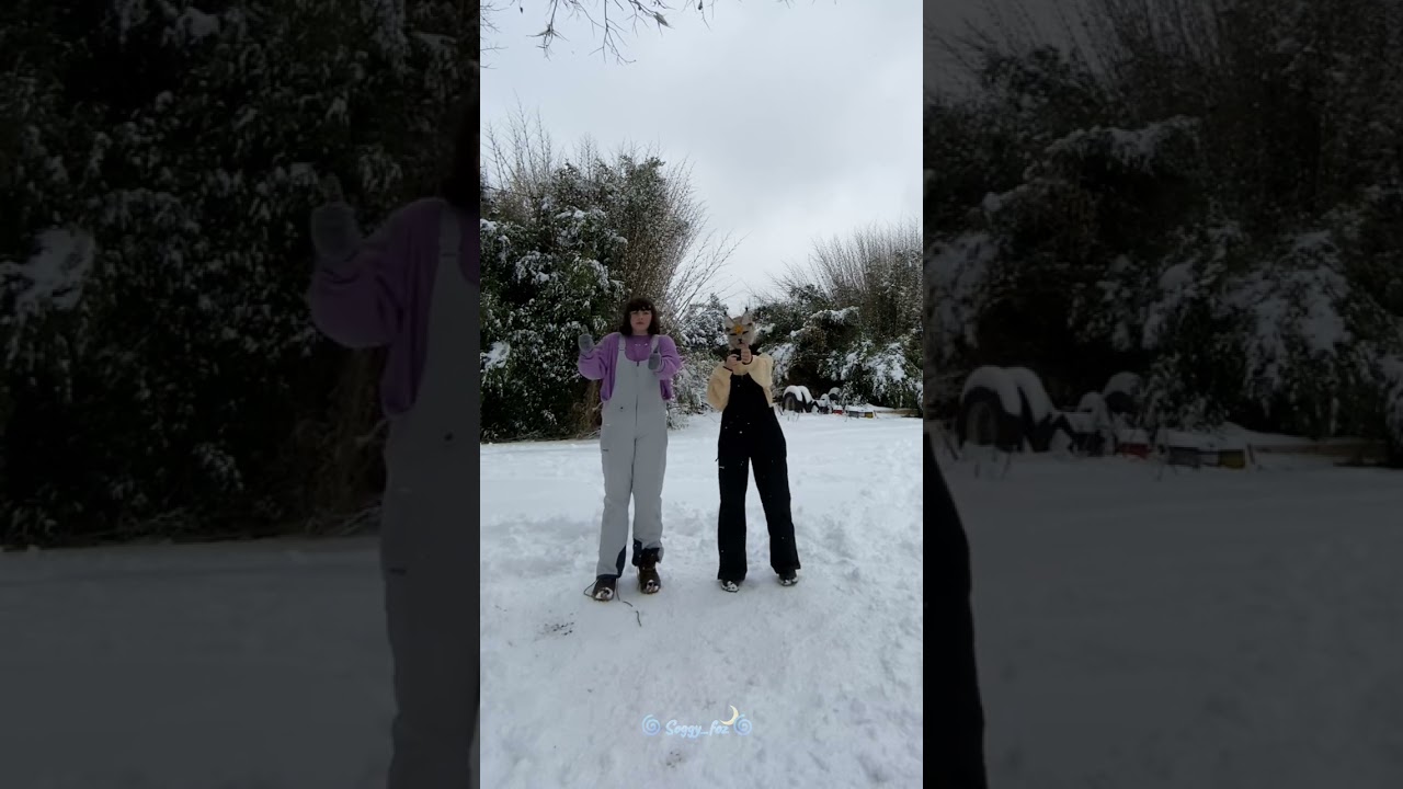 Snow day !! #therian #snowday #alterhuman #ttdance