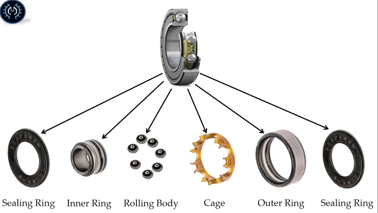 Bearing Exploded View