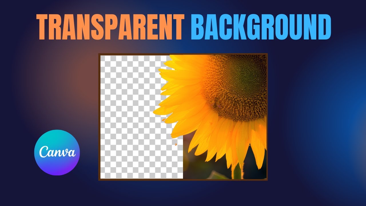 Make A Transparent Background In Canva FAST!