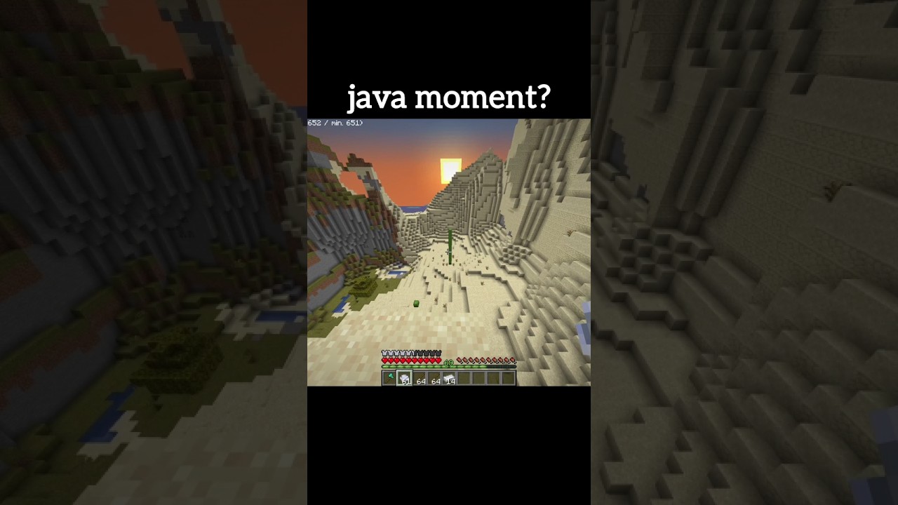 java moment?? #minecraft #java