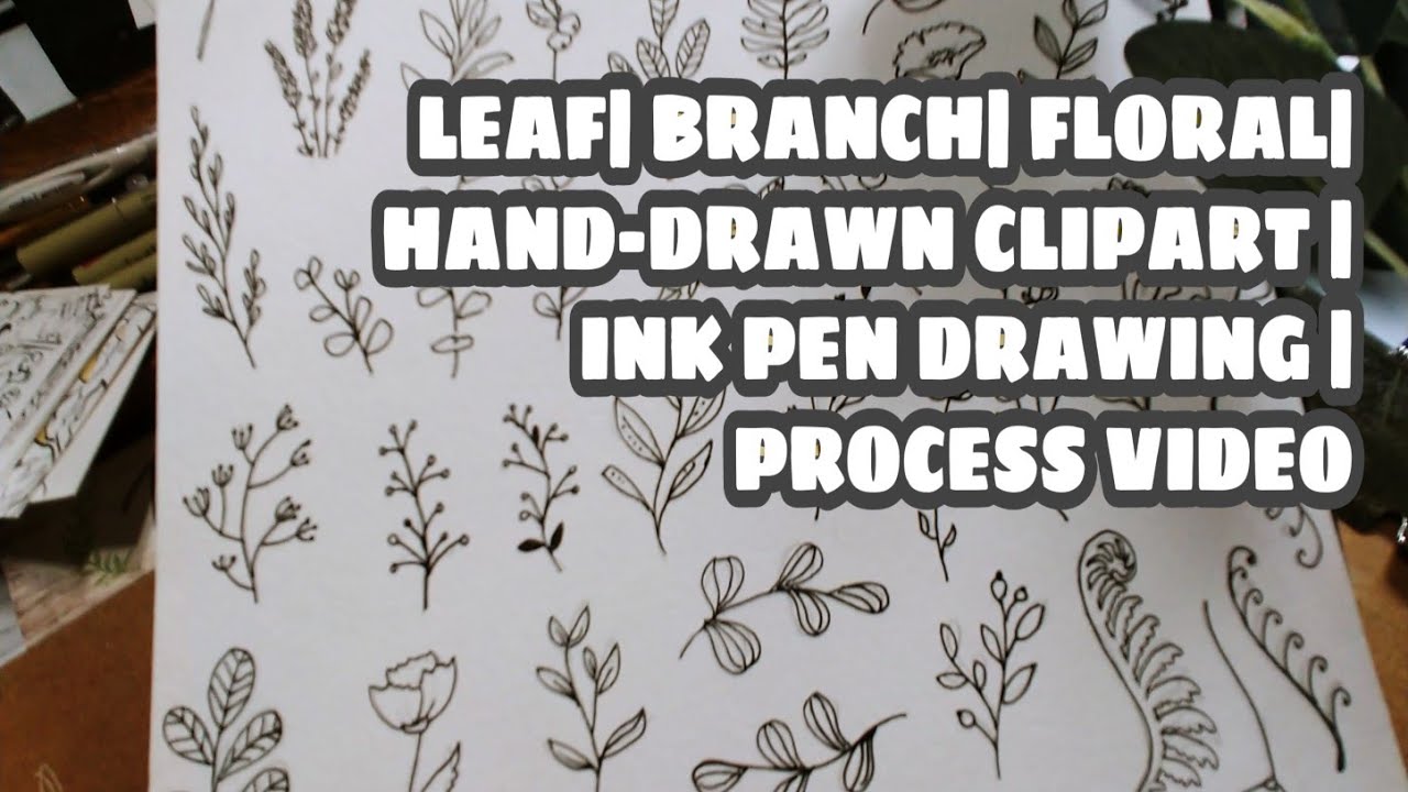 LEAF BRANCH TWIG| CLIPART| PEN INK DRAWING| PROCESS VIDEO