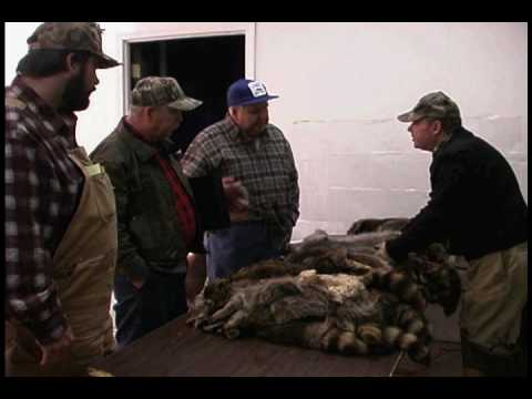 Fur Auction in Southern Indiana