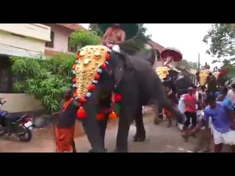 Kerala Funny video(GIF)
