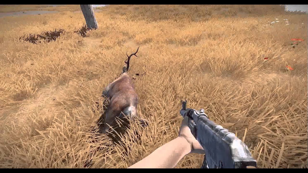 RUST Devblog 85/5