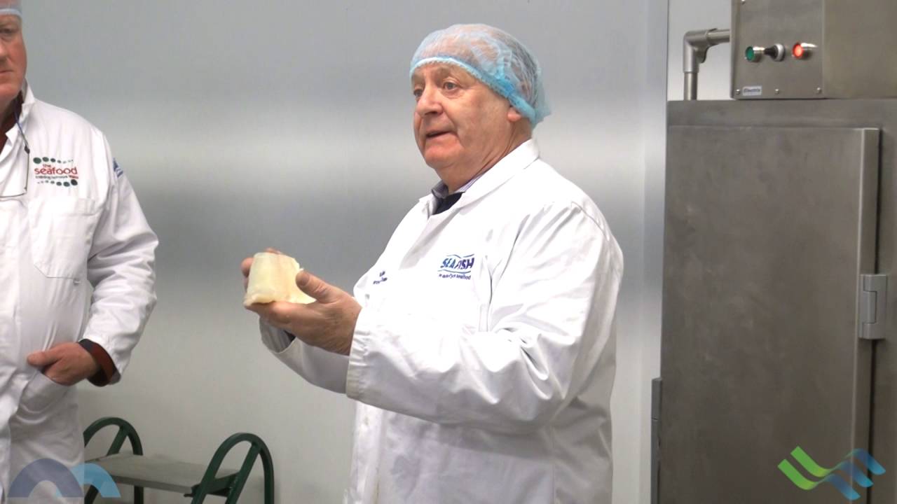 Fish processing methods and technology