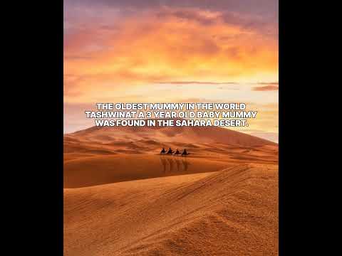 Interesting 5 Facts about Sahara desert #shorts #interestingfacts