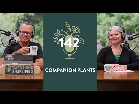 You've Got a Friend in Me - Companion Plants | 142