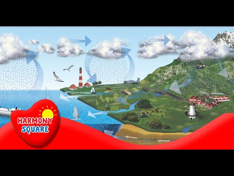 What is the Water Cycle - More Middle School Science on the Learning Videos Channel