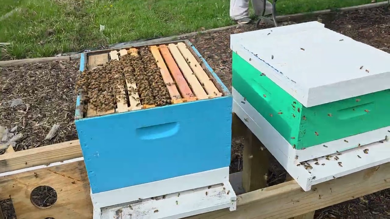 4-3-2026 Package Installation #2 