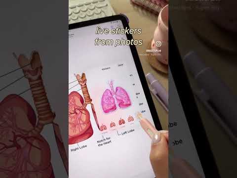 New iPadOS 17 Features you need to know #applepencil #ios17 #ipados17 #ios17features #ipadnotes