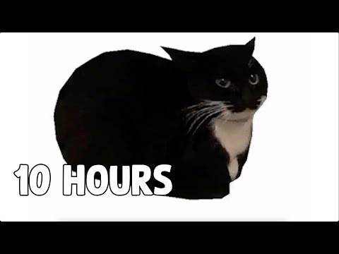 Spinning Cat [10 HOURS]