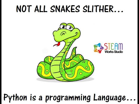 A very easy to make Ball and Paddle game with PYTHON for Grade 3-5 - (PART A)