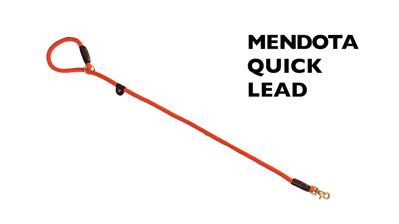 Mendota Quick Lead