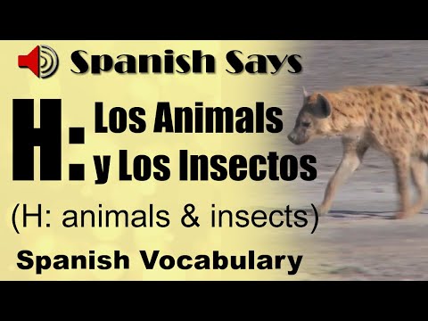 Words starting with H for Los Animals and Los Insectos - Animals & Insects in Spanish | Spanish Says