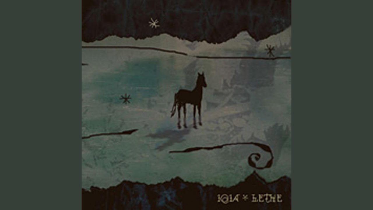 Ｓｈｅｌｌｆｉｓｈ