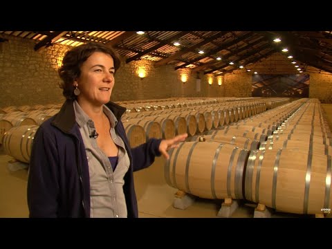 De majestueuze Rioja: de grootste wijnregio van Spanje | Documentaire