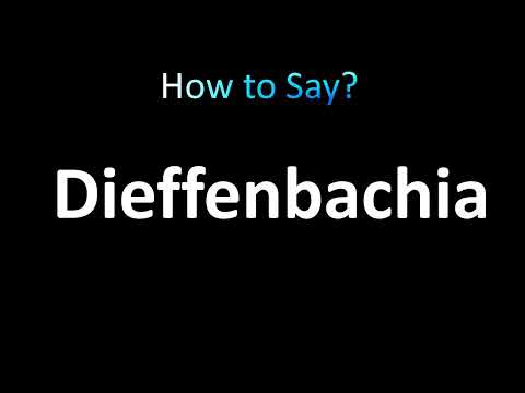 How to Pronounce Dieffenbachia
