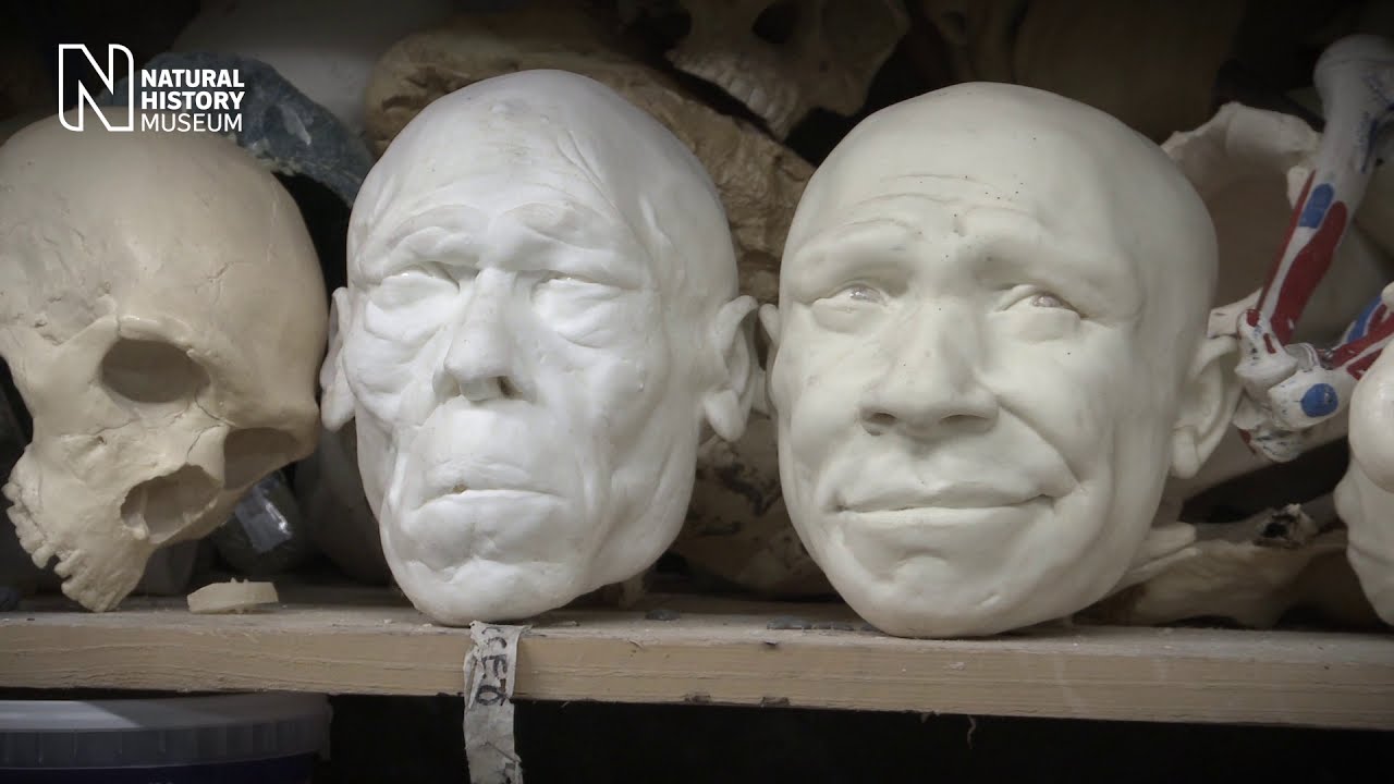 Bringing a Neanderthal to life: the making of our model | Natural ...
