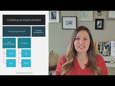Different types of Continuous Improvement methodologies
