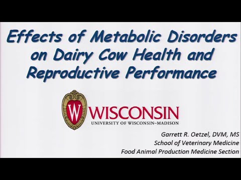 Effects of Metabolic Disorders on Dairy Cow Health and Reproductive Performance