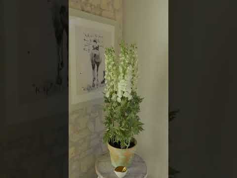 Ultimate faux botanical, use in a covered #sunroom or covered patio #afloral