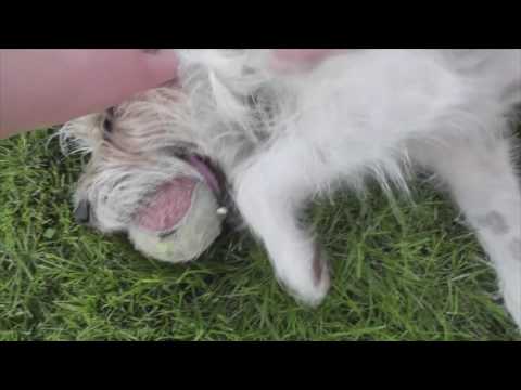 Steam Community :: Video :: Video Games VS Real Life