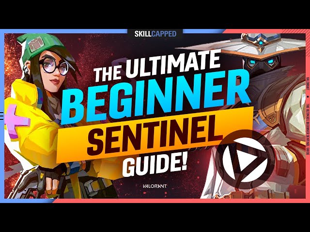 Valorant class guide: Every Agent role and their in-game importance