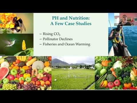 Planetary Health: Protecting Global Health on a Rapidly Changing Planet