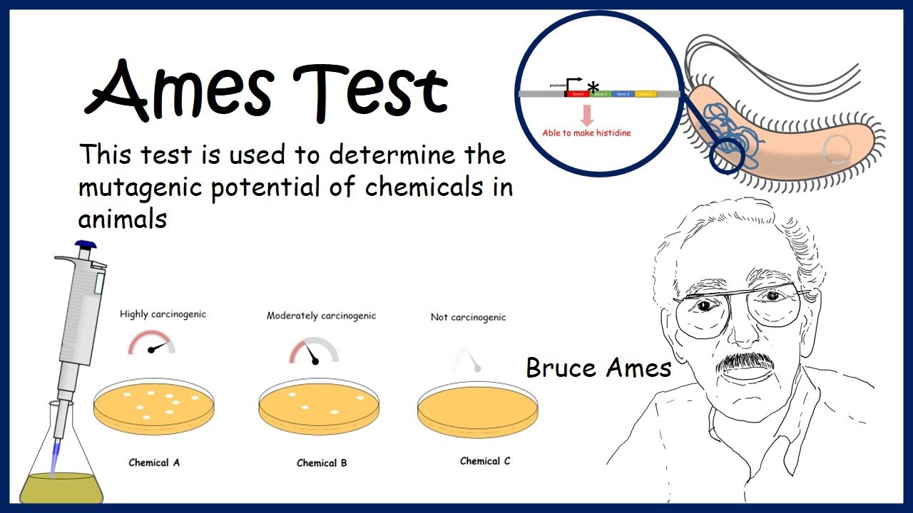 Ames test ( Technique to determine mutagenic potential)