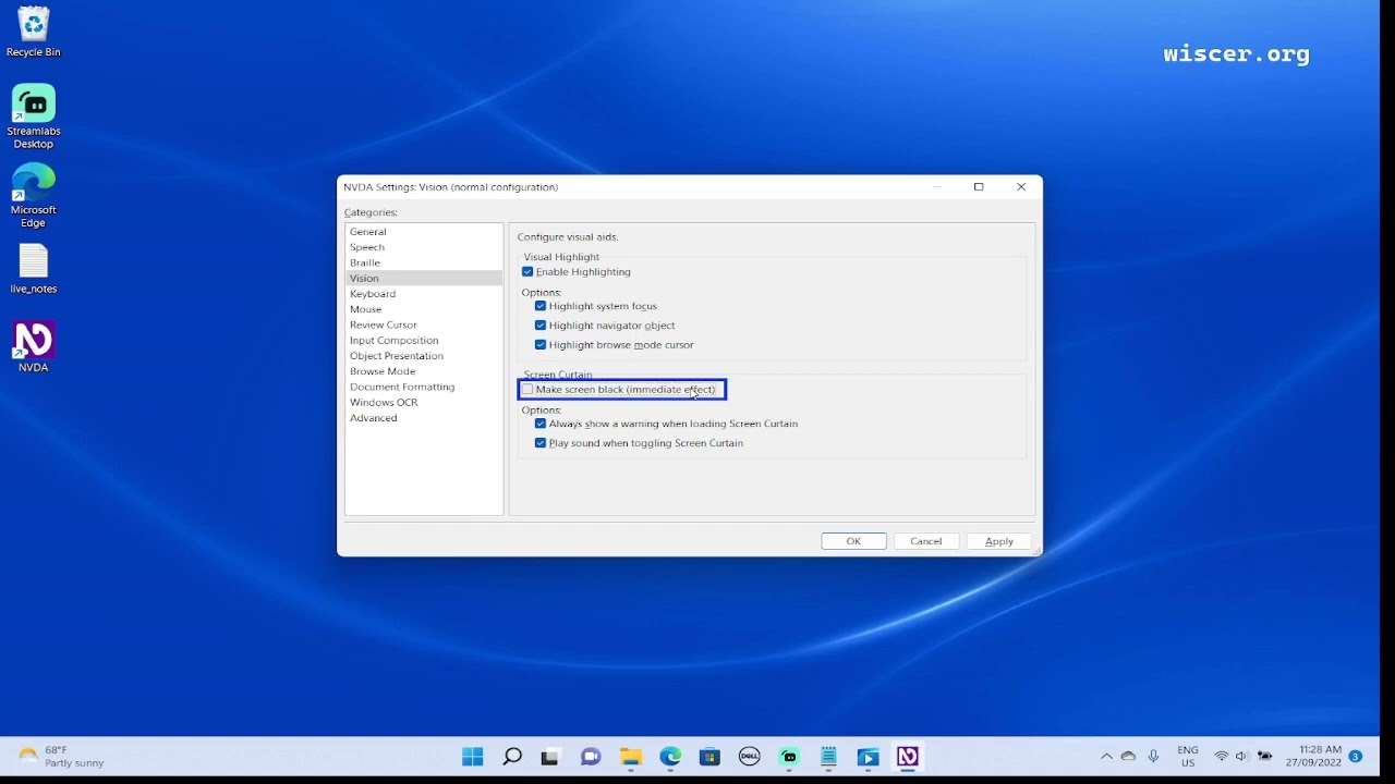 NVDA 'Vision' Setting Preferences