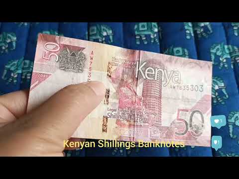 Kenya 50, 100, & 200 Shillings Banknotes | Kenya Currency Collection 🇰🇪