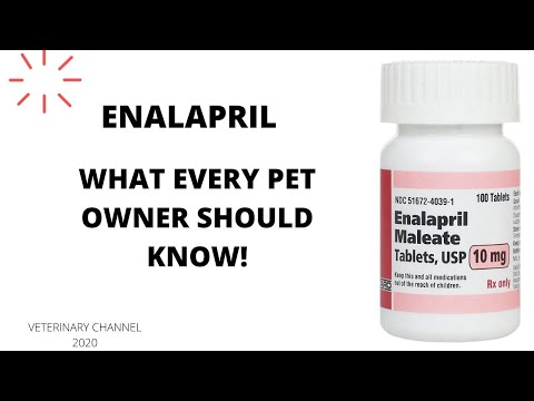 What Every Pet Owner Should Know About The Use Of Enalapril In Dogs [ Side Effects Of Enacard ]