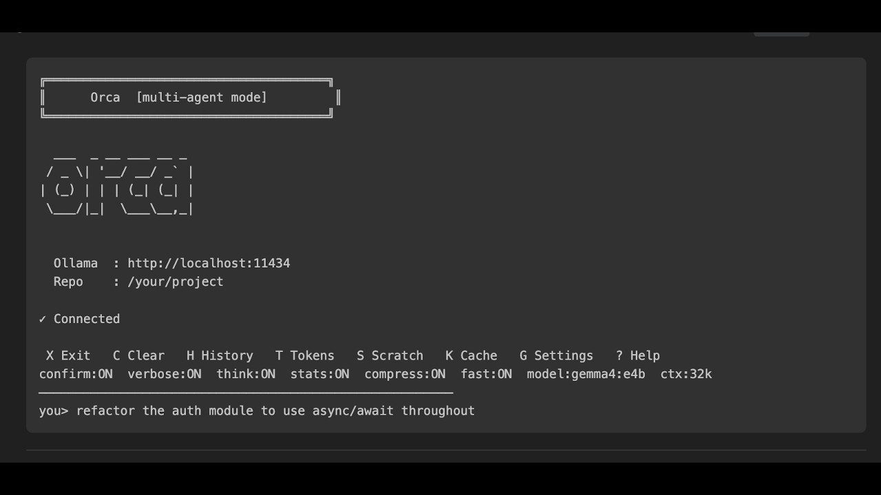 Orca — Local Agentic Coding Assistant