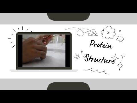 Mastering Protein Structure: 3D Ramachandran Plot | Protein Secondary Structure Models Explained!