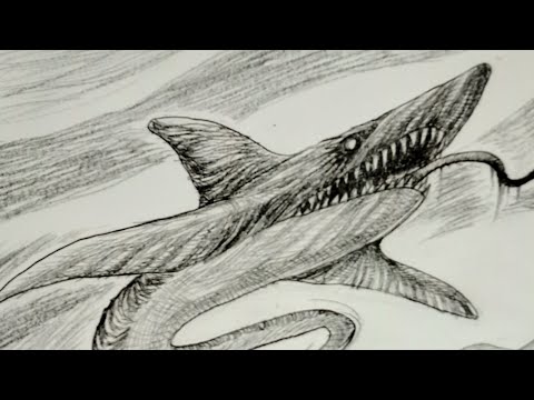 Aircraft Shark (drawing)New g mos