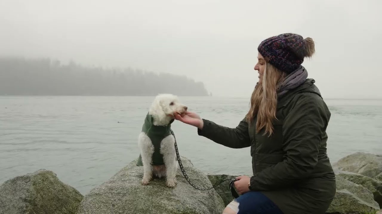 RC Pets : Essential Treat Bag