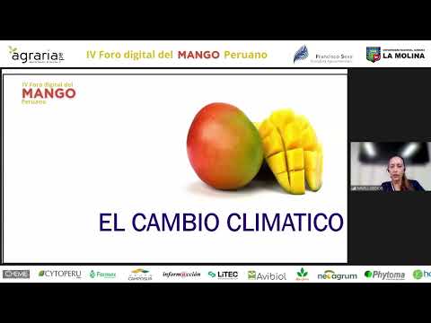 El cambio climático y el cultivo del mango peruano - Dra,. Ninell ...