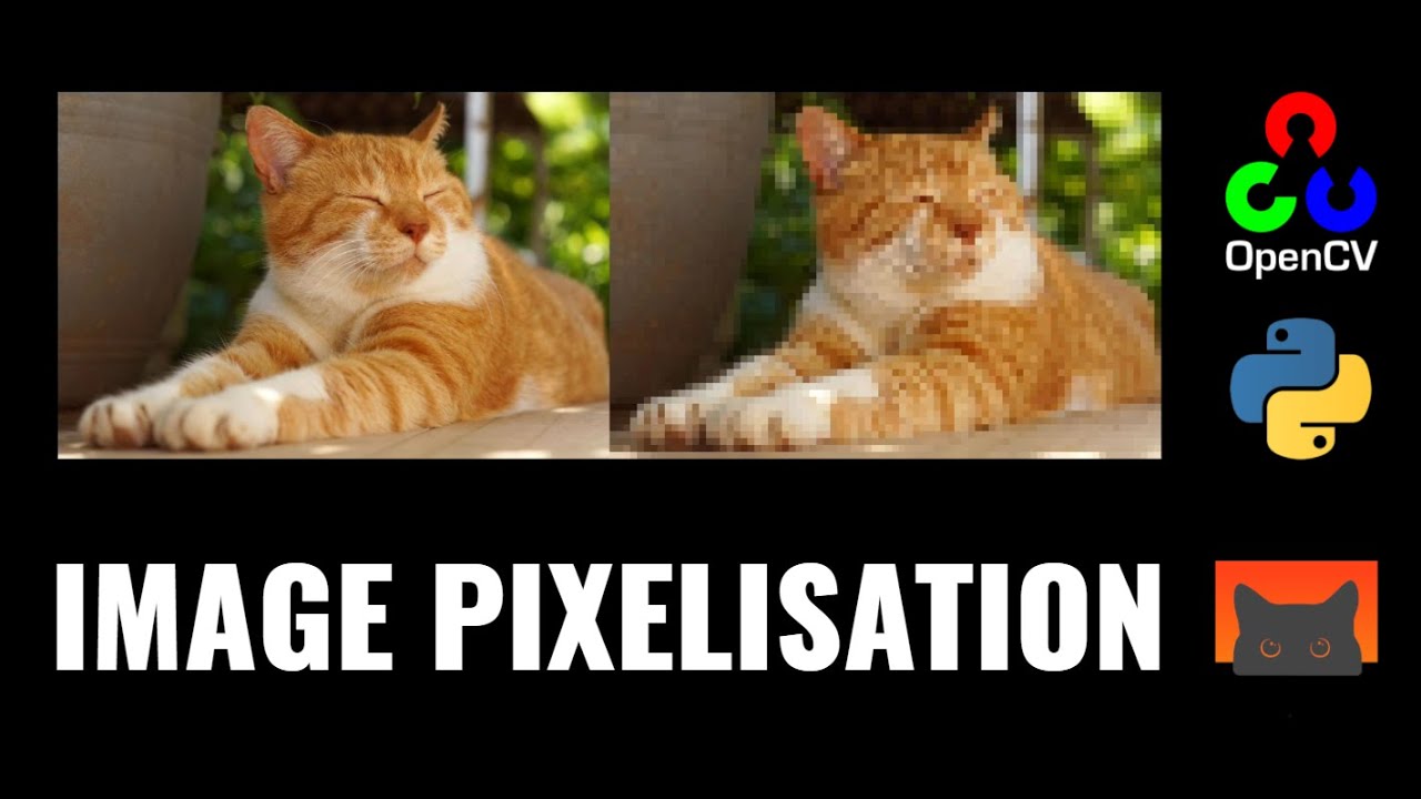 Image Pixelisation with OpenCV