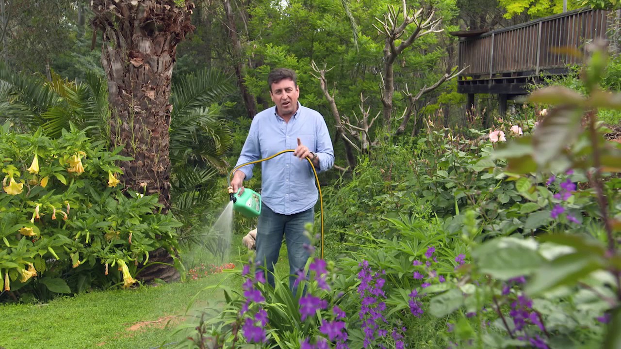 The Garden Gurus - Combat Sandy Soil Conditions