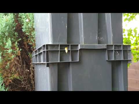 Diy Bakki Shower